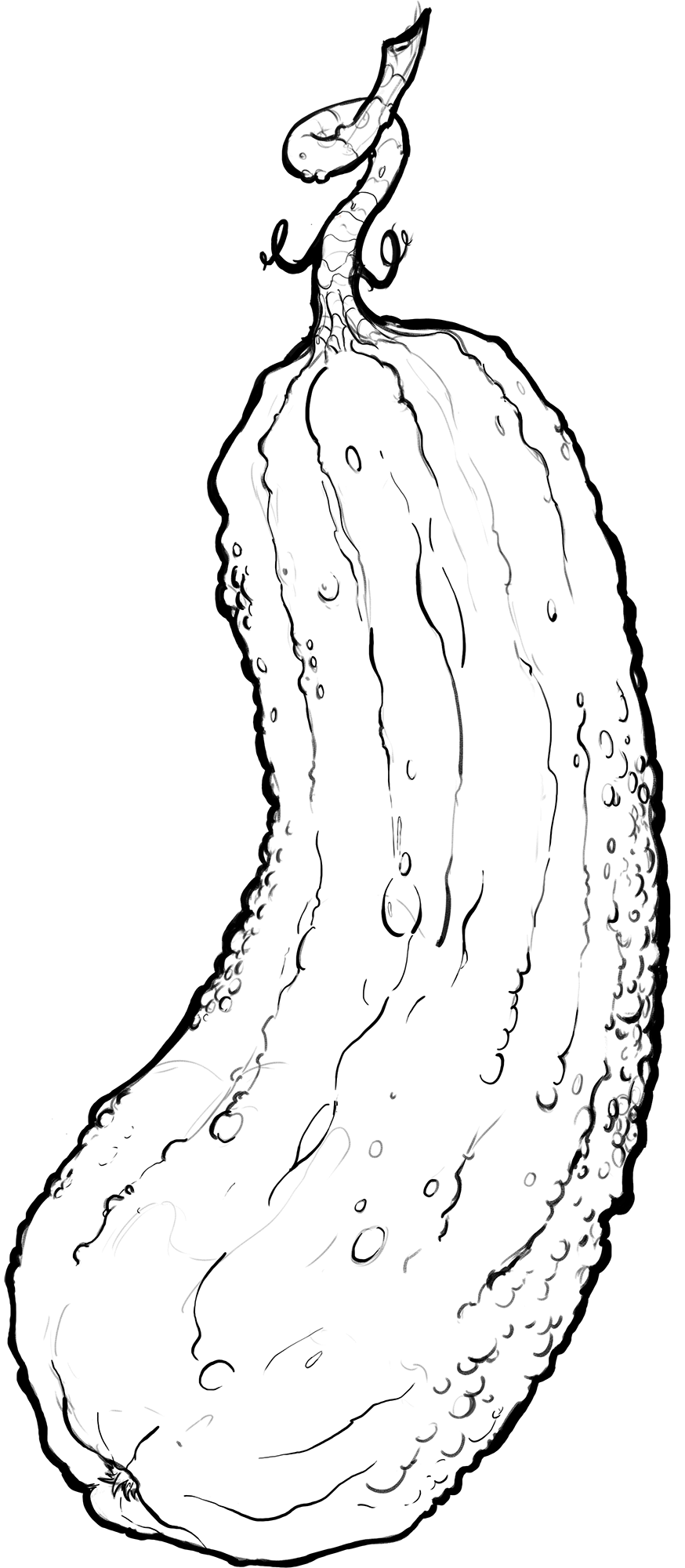 Portfolio • The Red Pickle Studio