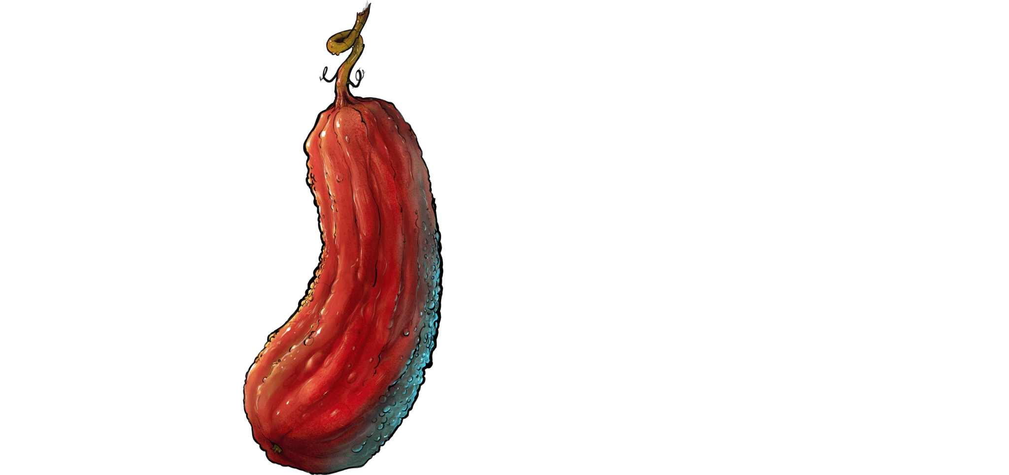 The Red Pickle Studio • animation, design, video and photography